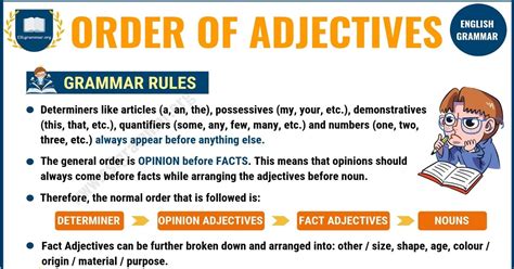 Adjectives What Is An Adjective Useful Rules Examples With Images