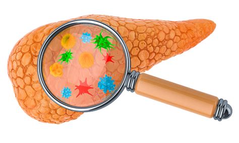 췌 장 질환 개념의 연구 및 진단 돋보기 3d 렌더링 흰색 배경에 고립에서 바이러스와 Bacterias 시작 인간의 췌 장 돋보기 광학 기기에 대한 스톡 사진 및 기타