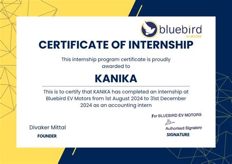Internshipexperience Accounting Bluebirdevmotors Learningandgrowth