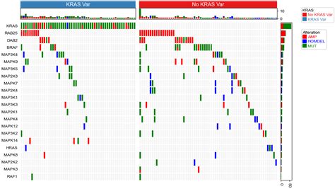 OncoPrint Visualizing TCGA Lung Adenocarcinoma Carcinoma Variants