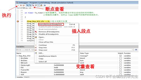 一文带你入门capl编程 实战教学 csdn博客