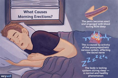 4 Causes Of Morning Wood