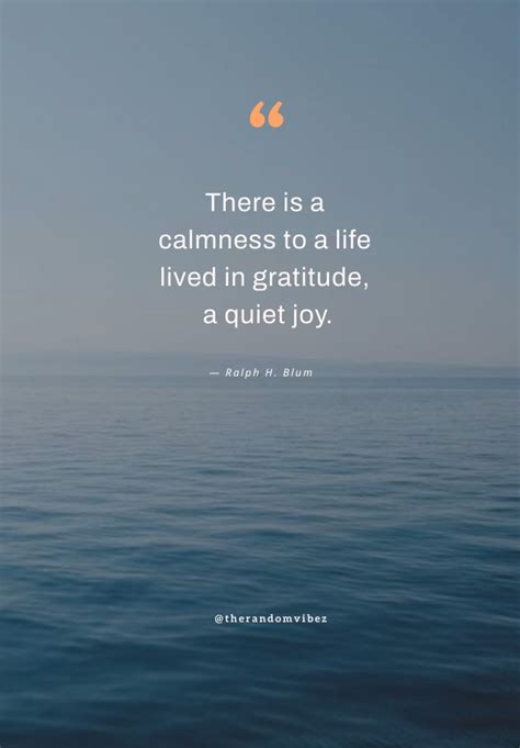 Best Calm Quotes To Relax And Bring Peace Of Mind The Random Vibez
