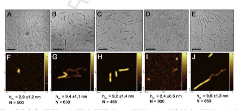 Figure 1 From The 5 Proximal Region Of Potato Virus X Rna Involves The Potential Cap Dependent