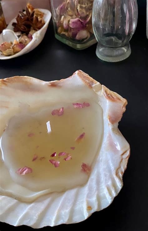 Seashell Candles Beach Candle Summer Candles Diy Candles Aphrodite