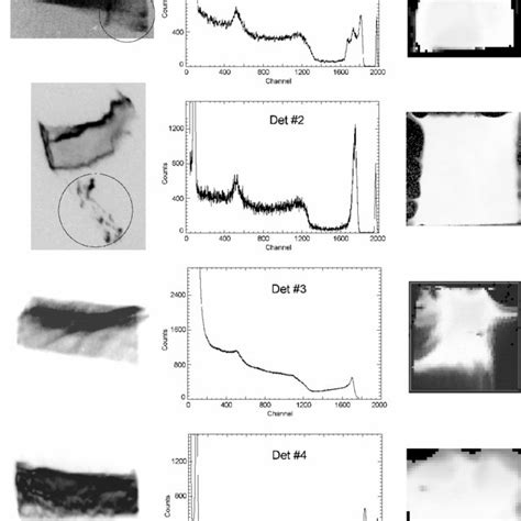 Schematics Of A Parallelepiped Shaped Virtual Frisch Grid Czt Detector