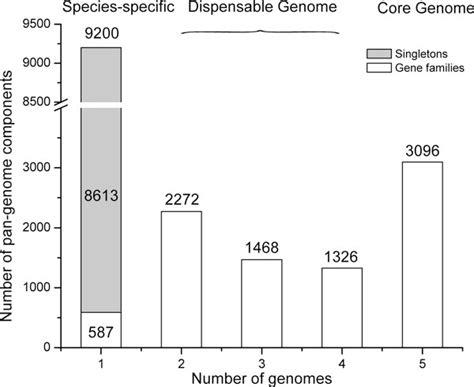 The Pan Genome Of Five Streptomyces Species Download Scientific Diagram