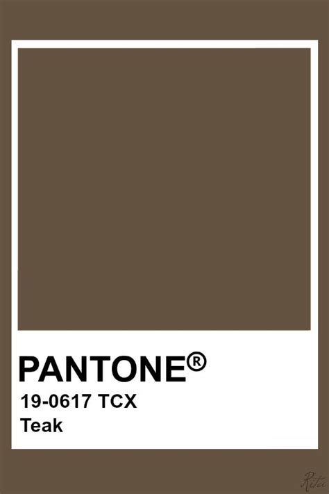 Pantone Teak Kleurenpalet Pantone Kleuren