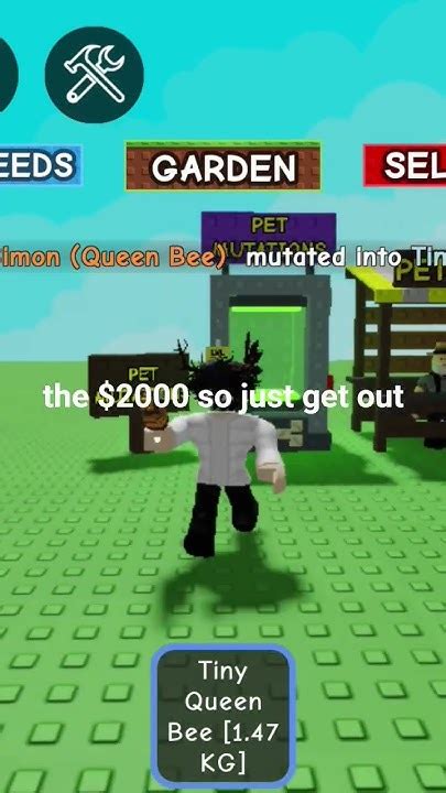 Roblox Guys My Queen Bee Turned Tiny😭😭😭can This Video Reach 10m Views