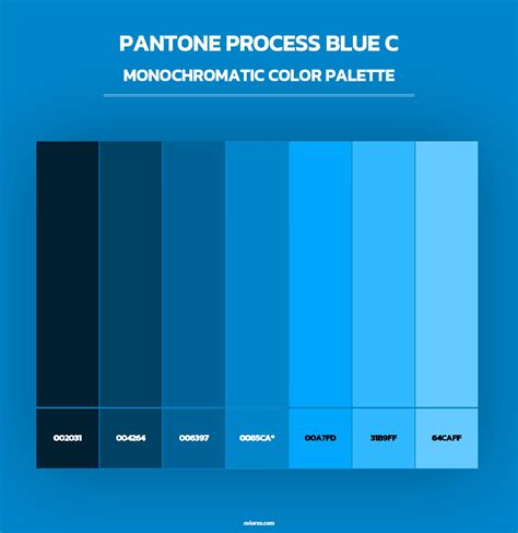 Pantone Process Blue C Color Palettes