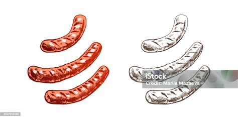 유기농 식품 손으로 그린 색색과 단색의 벡터 스케치 바베큐 그릴 소시지 빈티지 일러스트입니다 카페 및 라벨 메뉴 장식 새겨진 이미지 개체 그룹에 대한 스톡 벡터 아트 및