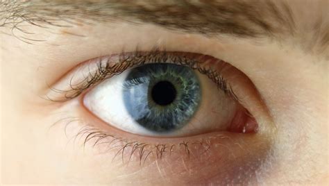 Desarrollan Una Tecnología Para El Diagnóstico De Ojo Seco