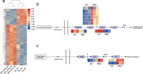 Degs Expression Pattern And Candidate Pathways Degs Expression