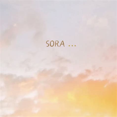 Sora Wig Youtube