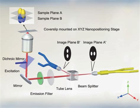 Figure 1 From Three Dimensional Single Molecule Tracking With Confocal Feedback Microscope