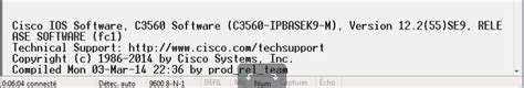 Configuration A Promiscuous Trunk Port On Catalyst 3560 Switches Cisco Community