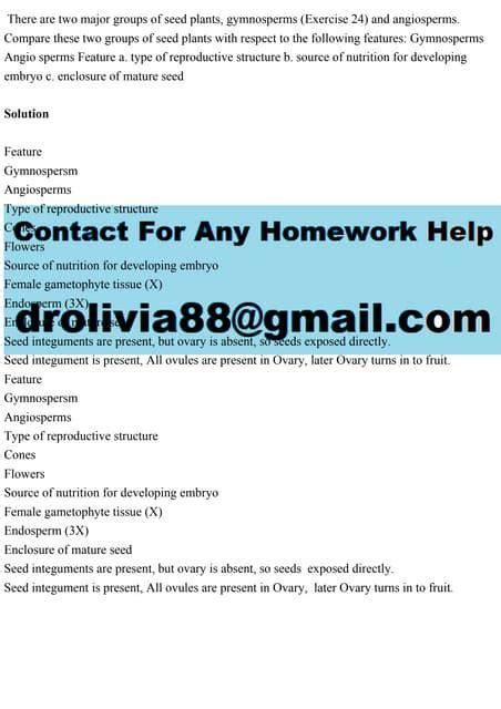 Explain The Differences Between A Stateless And A Stateful Firewallpdf