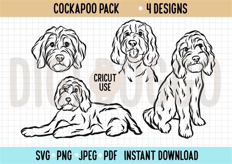How To Draw A Cockapoo Step By Step