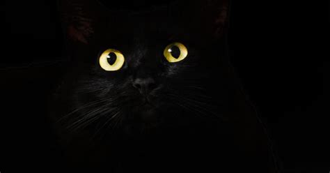 Cloud Native Best Practices 5 Observability And Monitoring Kubermatic