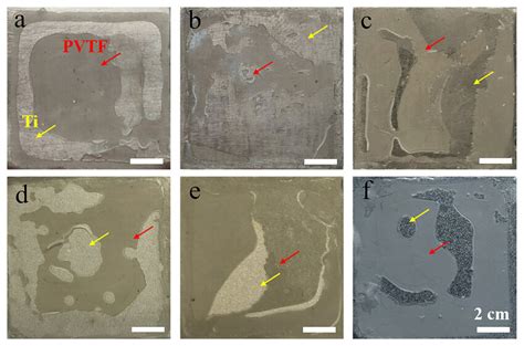 The Morphology Of Fracture Of Samples After Stretching The Fracture Of Download Scientific