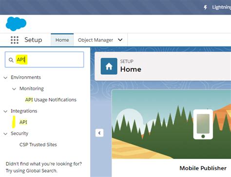 Getting The Salesforce Api Version Carl De Souza