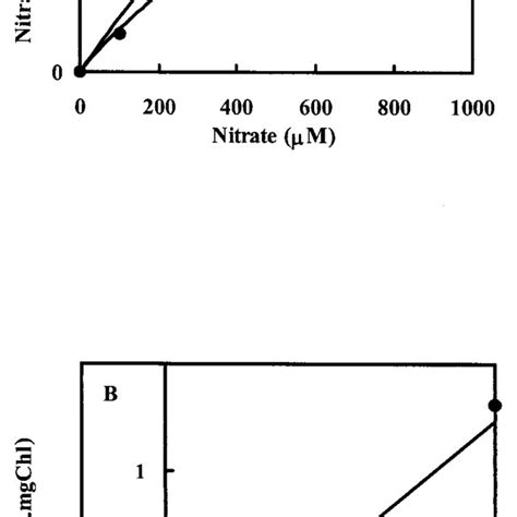 Initial Rates Of Nitrate Uptake As A Function Of Nitrite Concentrations