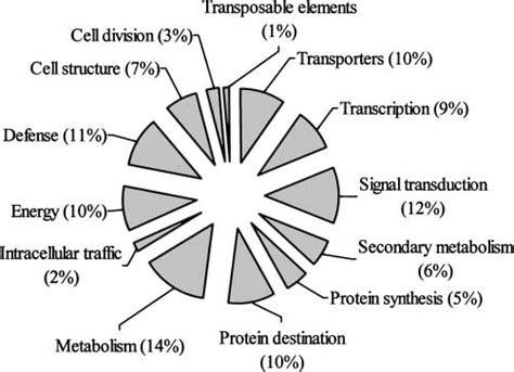 —functional Classification Of Wheat Ests Mapped Download Scientific