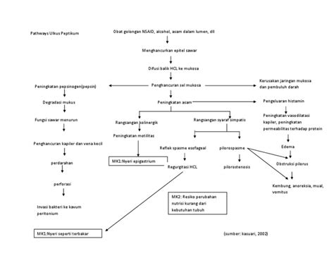 Pathways Ulkus Peptikum Pdf