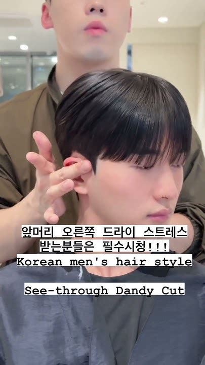 메이크에이헤어 민국센세 시스루펌드라이 남자머리스타일 남자머리잘하는곳 댄디컷 Hairstyle Hair Haircut 셀프스타일링 슬릭댄디컷 Youtube