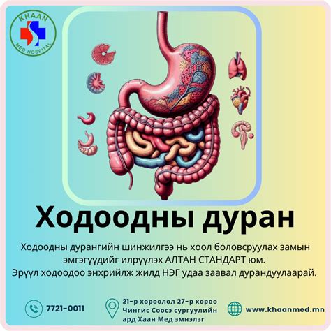 Khaanmed Hospital Хоолонд дургүй болох Хоолны шингэц муудах Ходоод цанхайх гэдэс дүүрэх