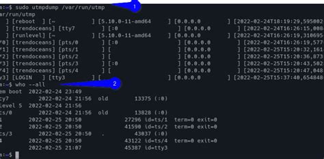 ¿qué Son Utmp Wtmp Btmp Y Cómo Leerlos Muylinux