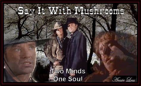 Mag 7 Fanfiction