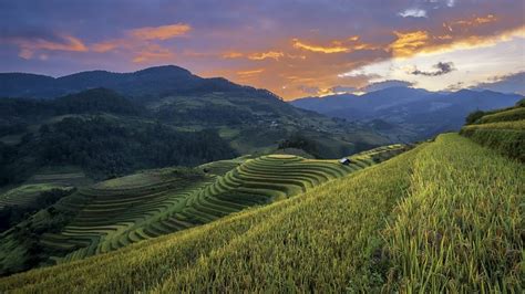 Landscape Sky Vietnam Nature Clouds Mountains Forest Trees