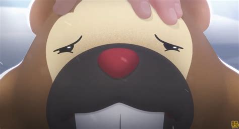 비버니 이건 다시봐도 커엽다 포켓몬 에펨코리아