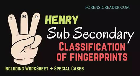 [worksheet] Sub Secondary Classification Of Fingerprints Rules How To