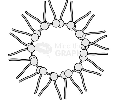 Reverse Micelle Gemini