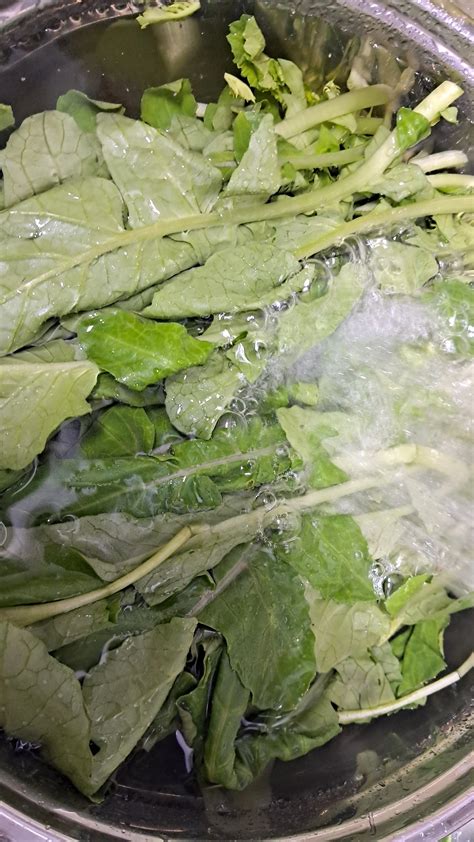 아침에 닭갈비는 Heavy 하지 않아