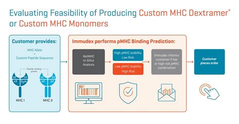 Custom Mhc Dextramer® Immudex