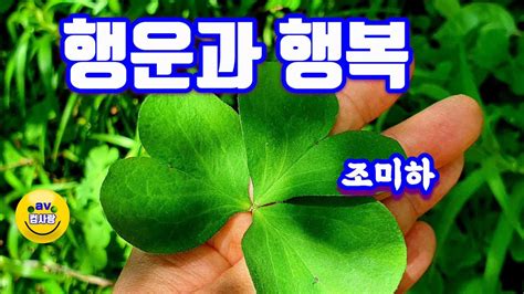 행운과 행복 조미하 Youtube