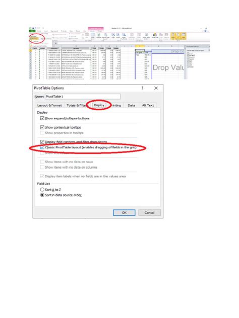 Pivot Table View Classic Layout Pdf