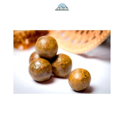 Siberian Raw Propolis Etsy