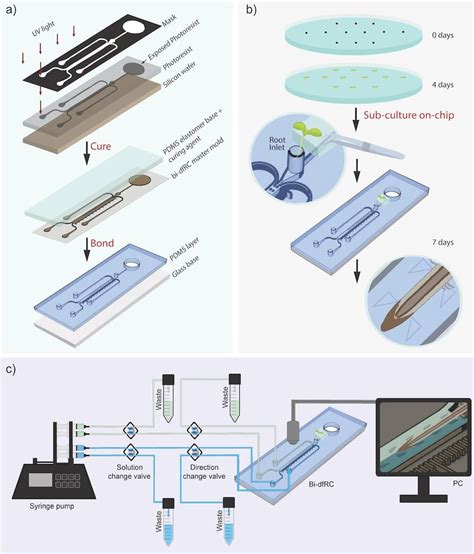 Bio Protocol On Linkedin Introducing A Novel Bi Directional Dual Flow Rootchip Bi Dfrc Platform…