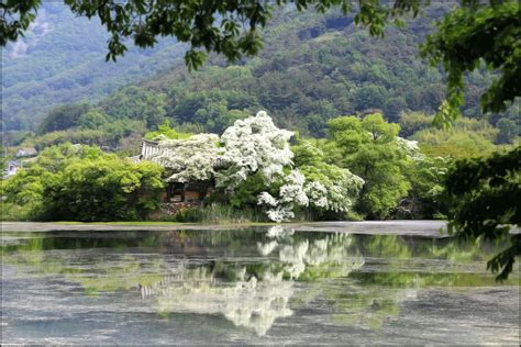 2023년 6월 3주 차 주일예배 대표기도문