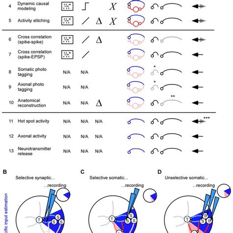 Methods For Finding Direct And Indirect Pathways A Summary Of 13 Download Scientific Diagram