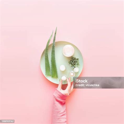 파스텔 핑크 배경에 신선한 알로에 베라 잎이 달린 트레이에 현대적인 보습 스킨 케어 화장품을 들고 있는 여성 알로에베라에 대한 스톡 사진 및 기타 이미지 Istock