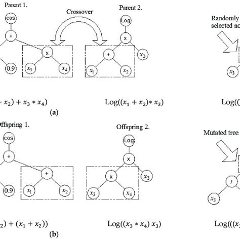 Multilayer Perceptron Mlp Neural Network 20 Download Scientific