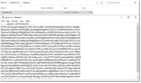 Devolutions Gateway Configuration On Linux Devolutions Documentation