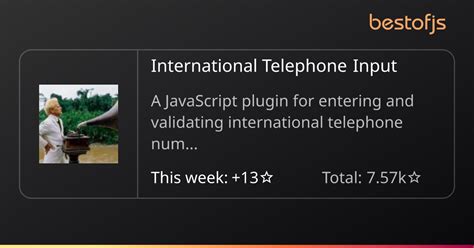 Best Of Js • International Telephone Input