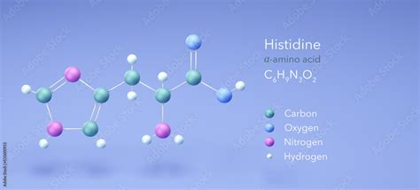 Histidine Molecular Structures Amino Acid 3d Model Structural Chemical Formula And Atoms