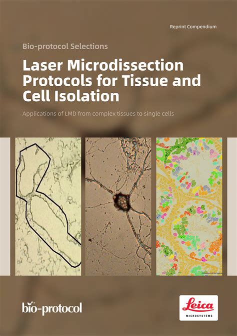 Laser Microdissection Protocols For Tissue And Cell Isolation —— Bio Protocol
